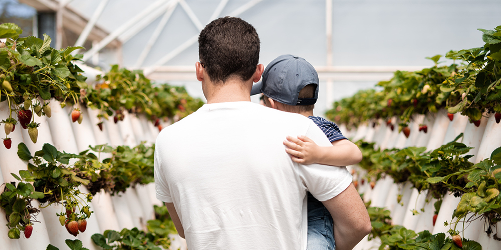 The FSC welcomes Government decision to refocus policy agenda